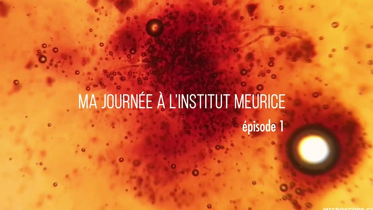 Ma journée à l'Institut Meurice - épisode 1 - YouTube