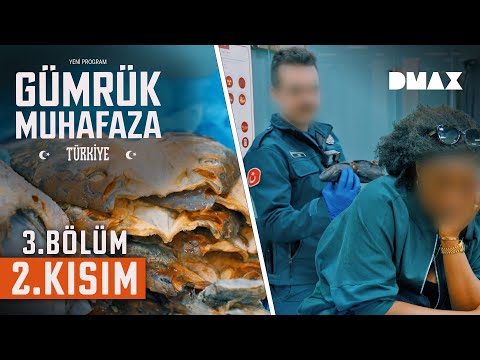 Valizlerin İçinden Kurutulmuş Kurtçuklar Çıktı I Gümrük Muhafaza Türkiye 3. Bölüm 2. Kısım