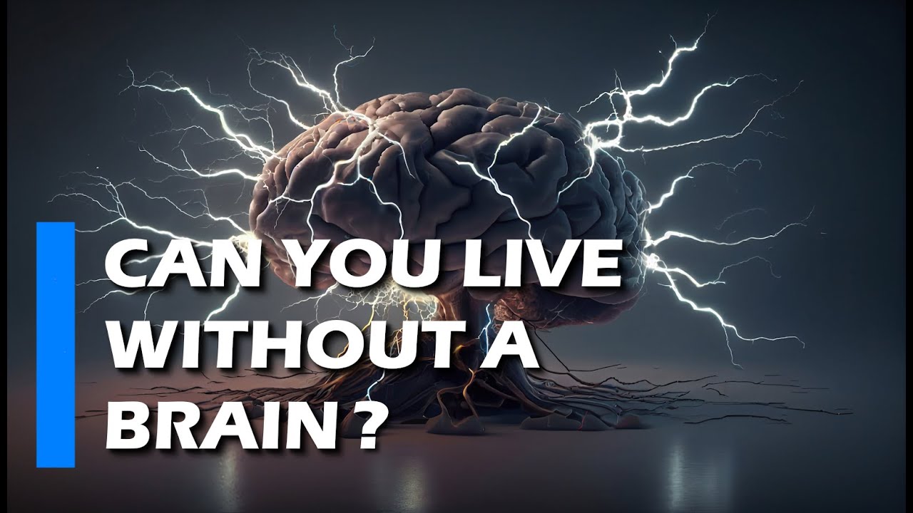 Can you live without a Brain? - YouTube