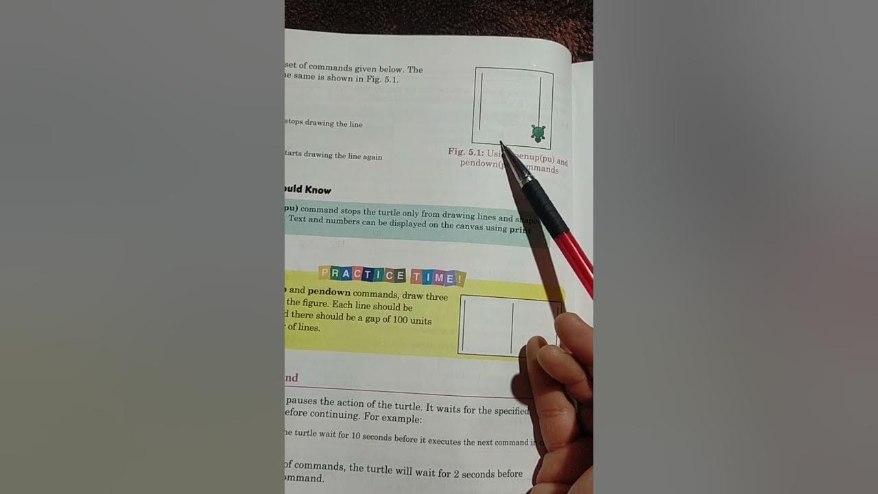 class 4th KTurtle - More commands part 1st - YouTube