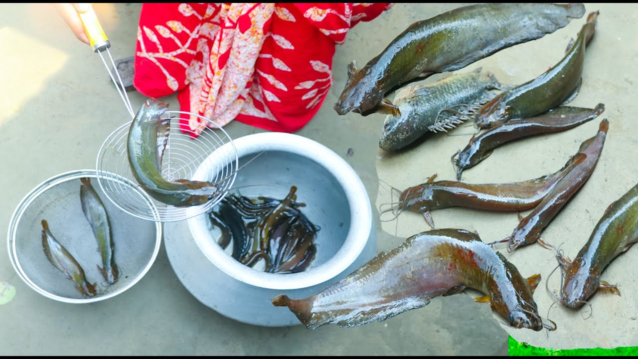 Janto Jiol-Koi Macher Patala Jhol Recipe || Healthy Deshi Fish Recipe ...