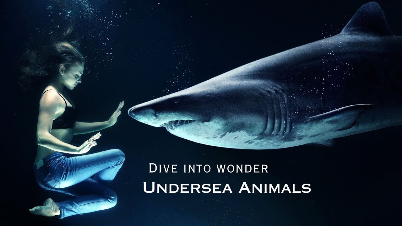 Secrets of the Ocean Depths| Undersea World| #tvfatc #uncostv - YouTube