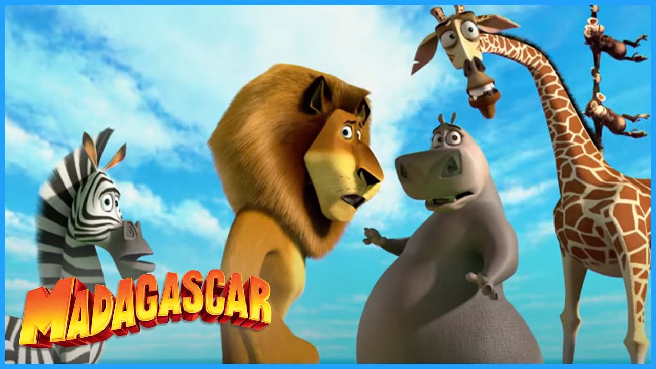 DreamWorks Madagascar | Friendship always wins! | Madagascar | Kids ...