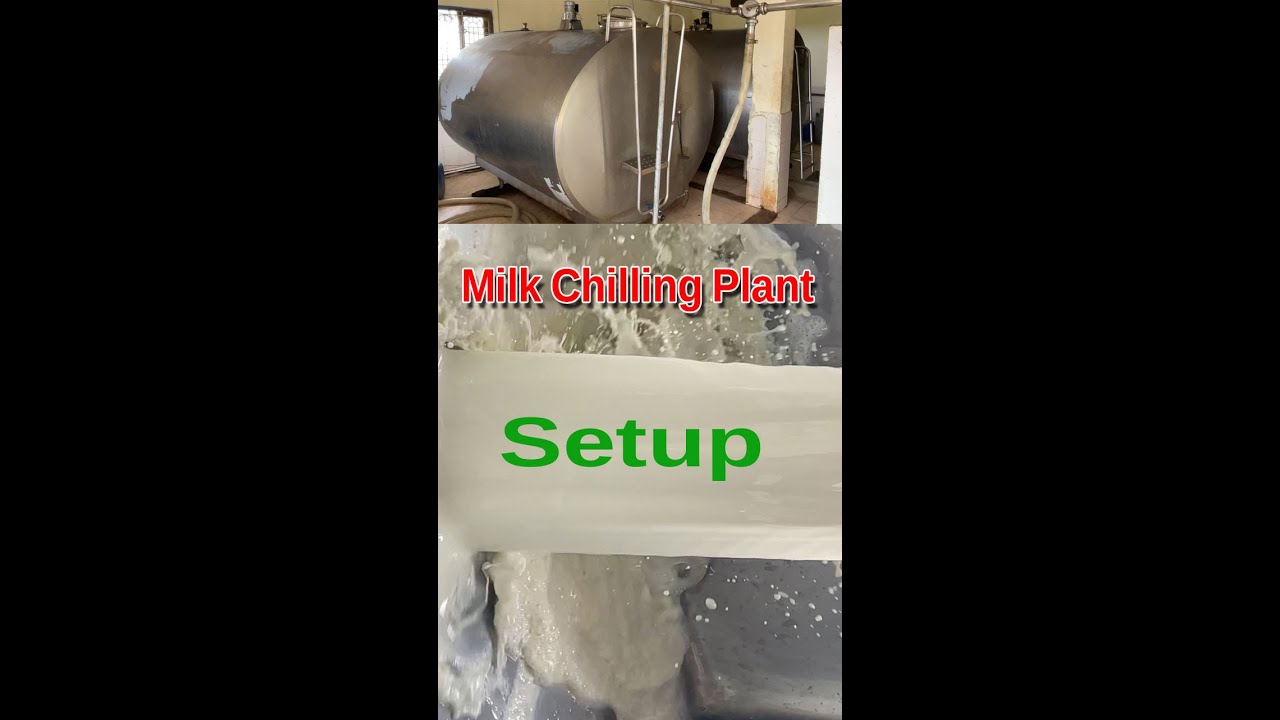 Milk Chilling Plant Project | Milk Chilling center - YouTube
