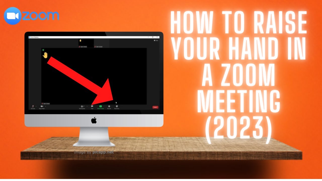How To Raise Your Hand In A Zoom Meeting 2023 - YouTube