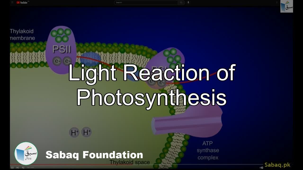 More on Light Reaction, Biology Lecture | Sabaq.pk - YouTube