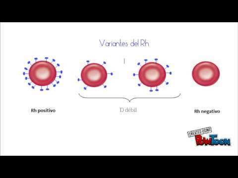 Sistema Rh - YouTube