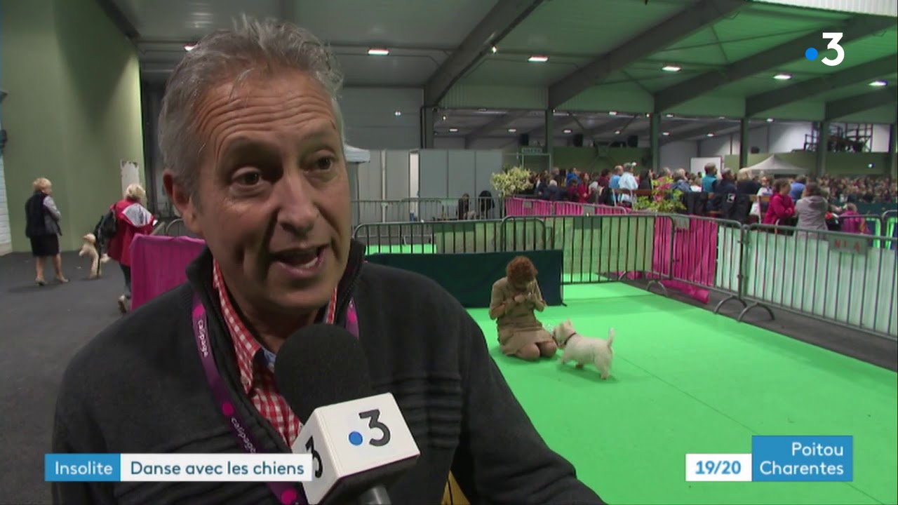 Compétition de Dog dancing à Bressuire - YouTube