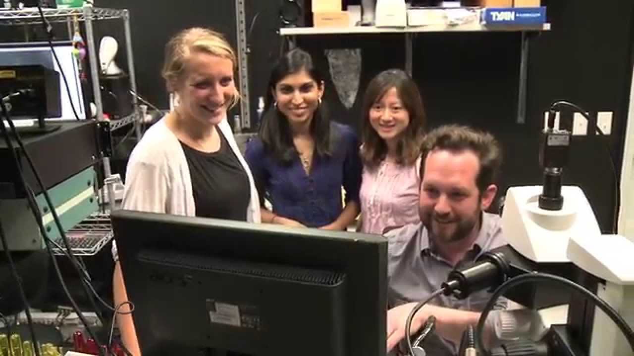 Inside Look: Joshua Dudman, PhD, Janelia Lab Head - YouTube