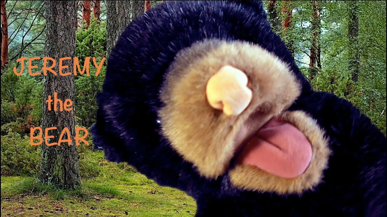 Jeremy the Bear - Meet Jeremy! #1 - YouTube
