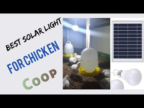 Lights for Chicken Coop .How to set up Chicken Coop with Solar Lighting ...
