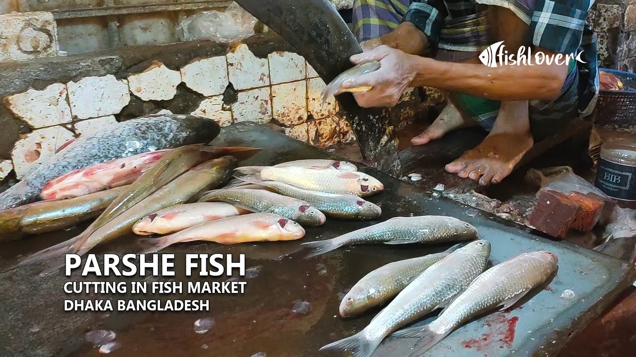 KAWRAN BAZAR BEST PARSHE FISH CUTTING VIDEO | EP-12 | FISH MARKET - YouTube