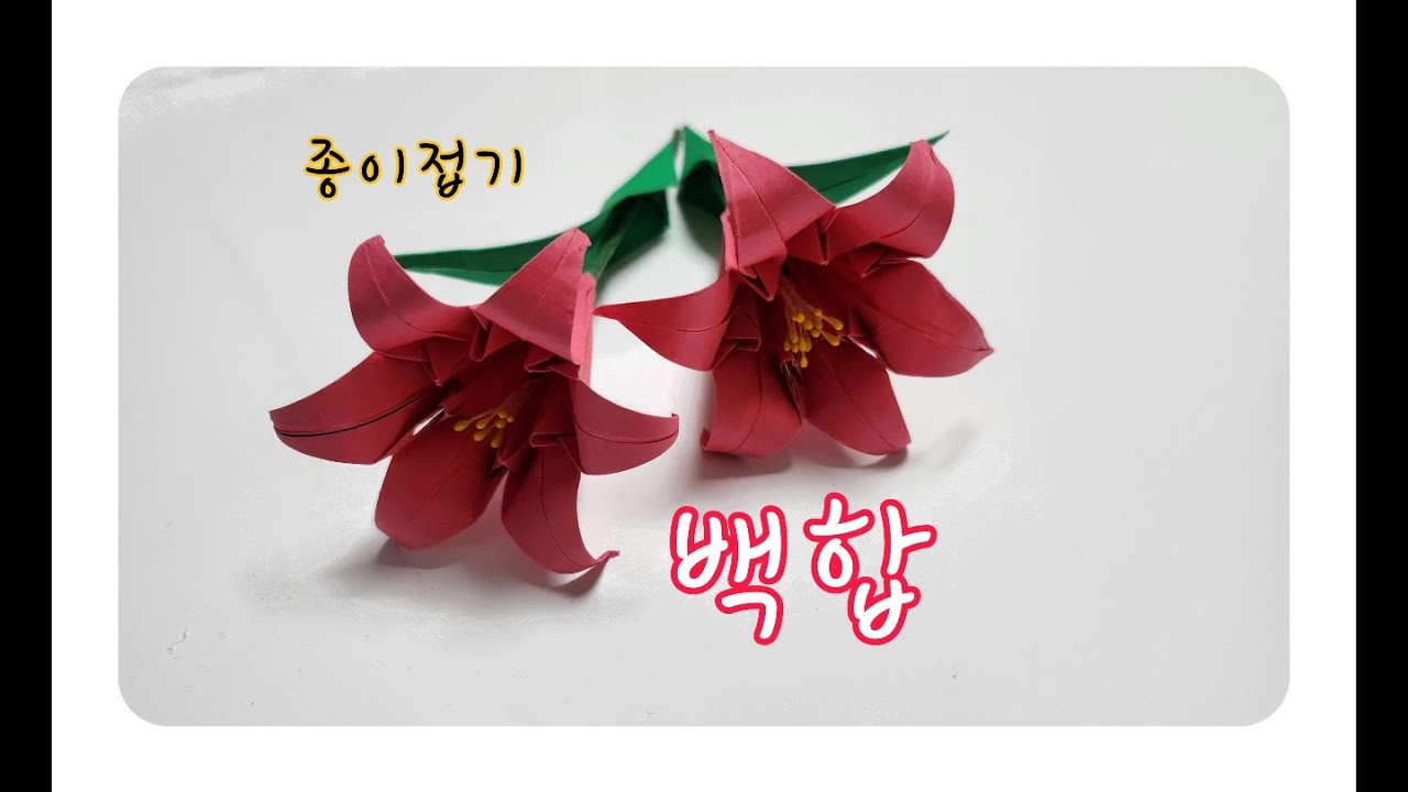 백합종이접기 백합 접기 육각형으로 백합접기 종이접기 Youtube