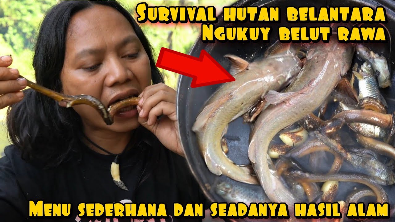 SANGRAI BELUT RAWA MENU SURVIVAL DI HUTAN BELANTARA - YouTube