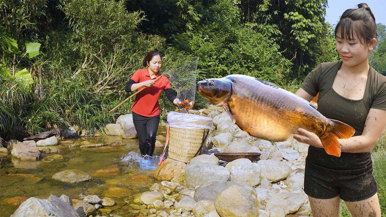 Fishing in the Forest | Catch Colorful Fish - Koi Fish - Hunting Big ...