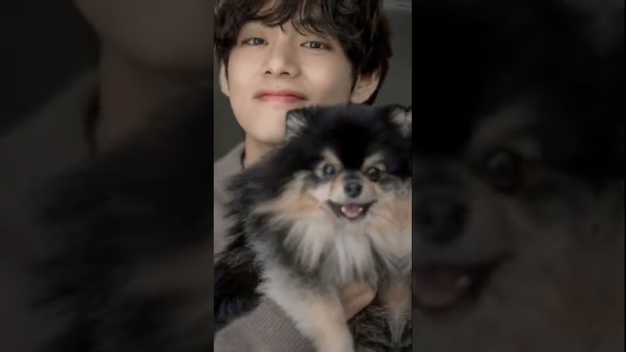 bts v with his cute dog yenton##v ##shots 💜💜bts - YouTube