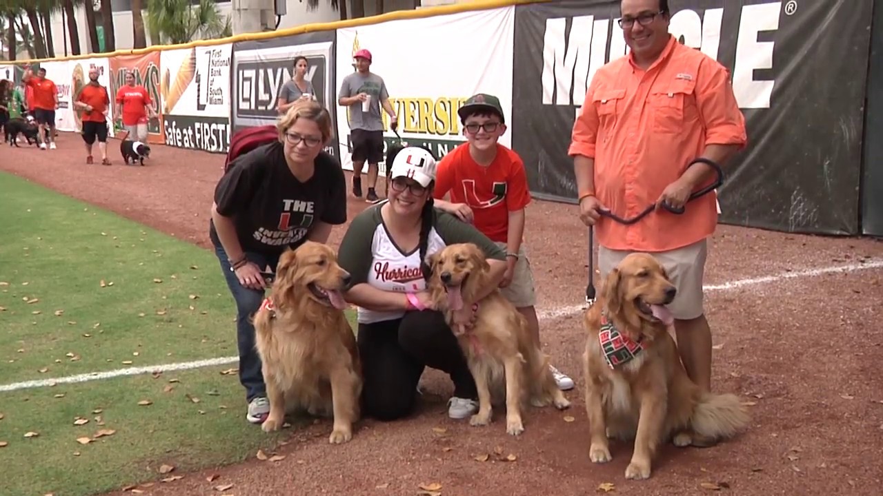 Bark in the Park at Mark Light Field | Victoria De Cardenas - YouTube