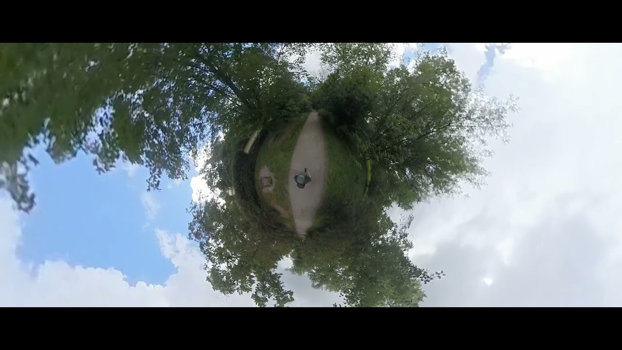 Arnold Arboretum, Willow Path #3 (360-degree Little Planet) 4K - YouTube
