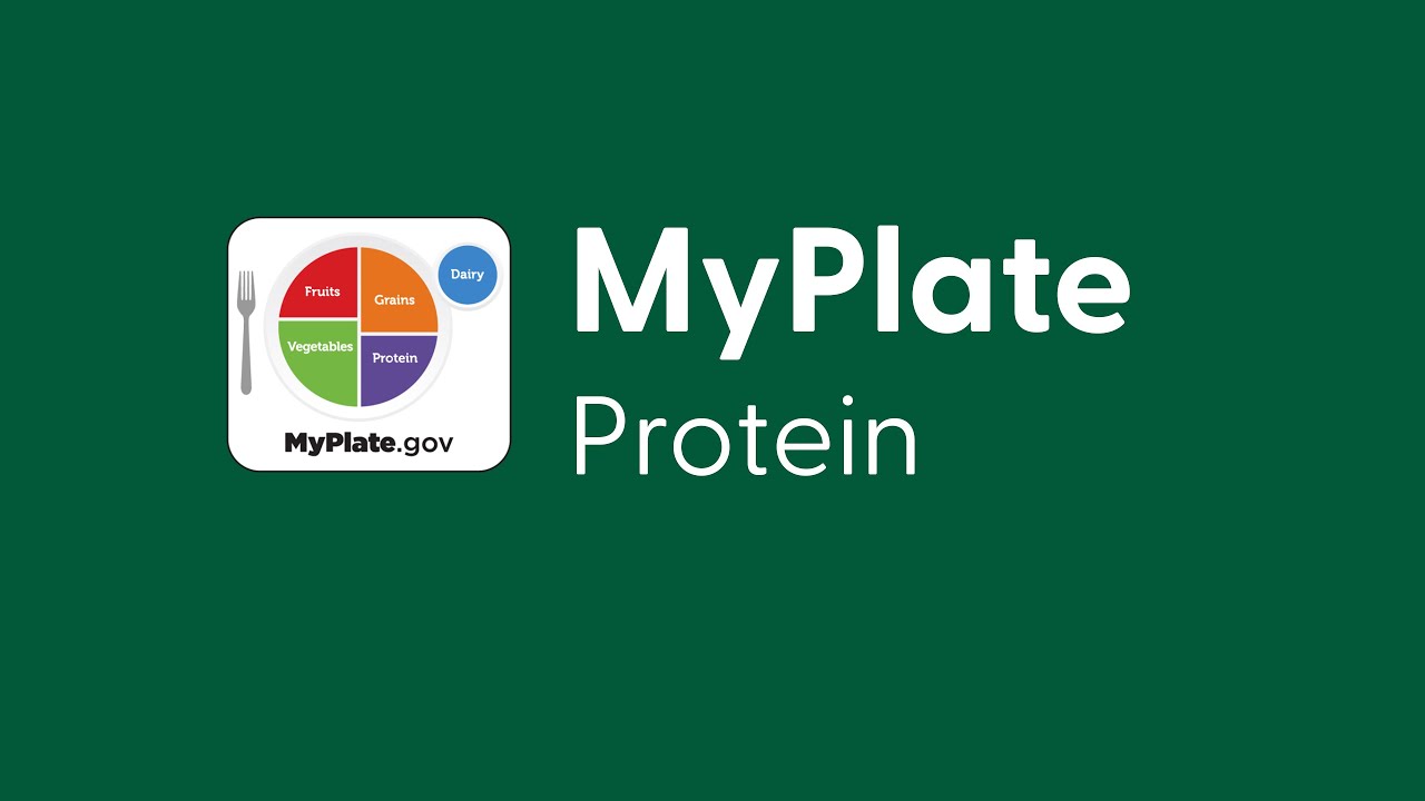 MyPlate: Protein - YouTube