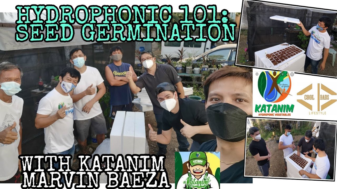 THIS IS HOW WE DO HYDROPHONIC FARMING WITH KATANIM MARVIN BAEZA |Cool ...