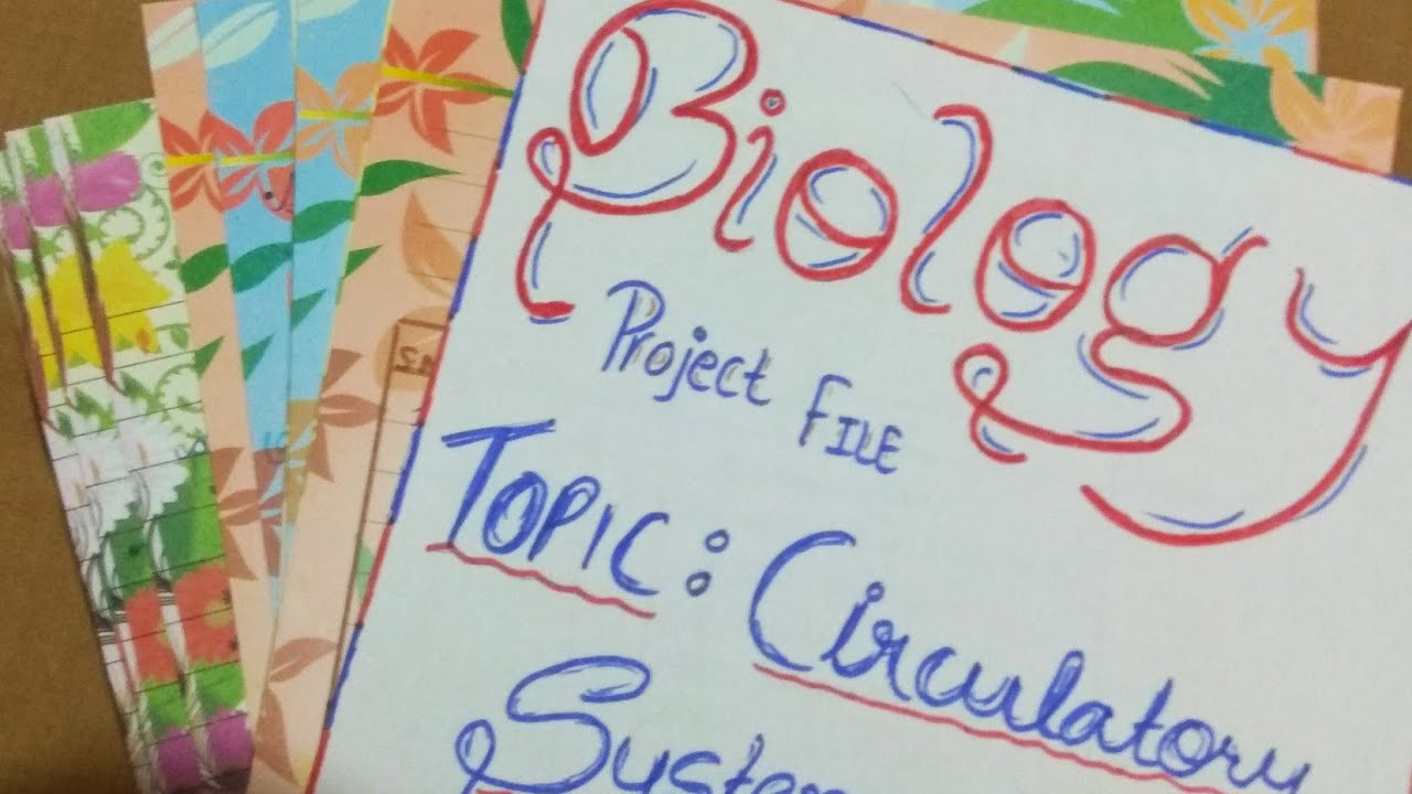 project file on circulatory system|| biology project file|| circulatory ...