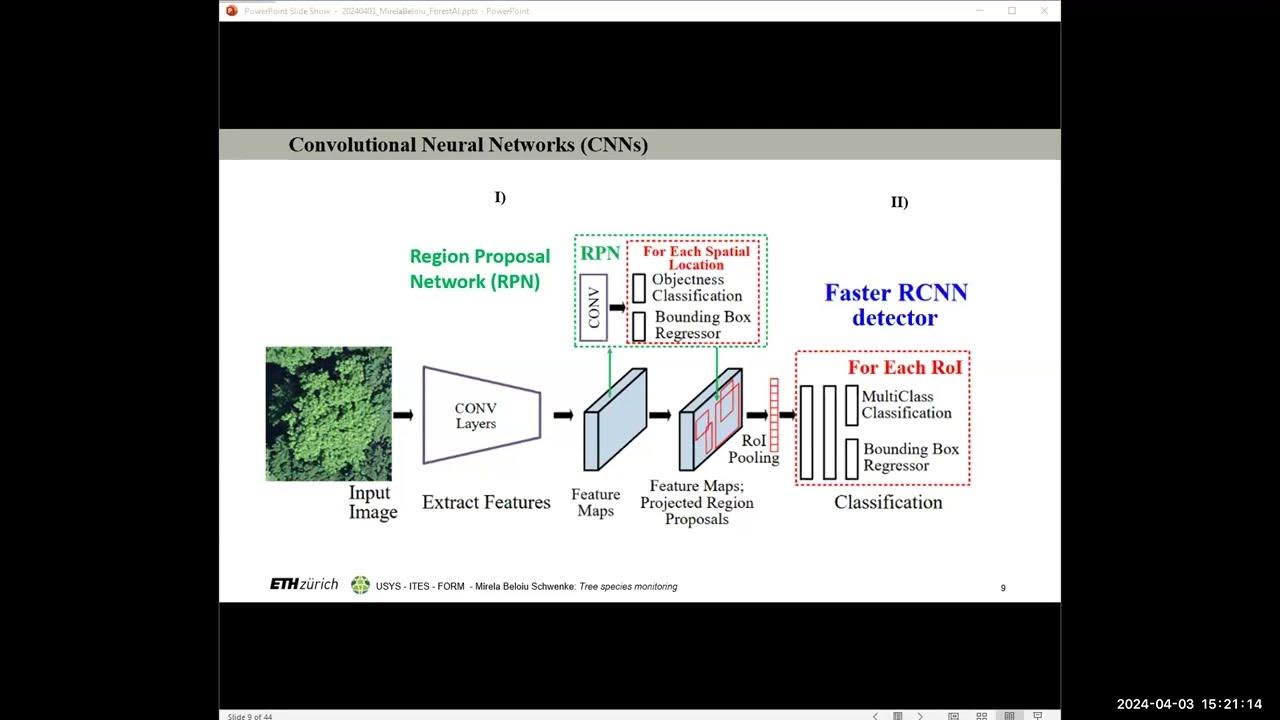 Leveraging deep learning and remote sensing to monitor single trees in ...