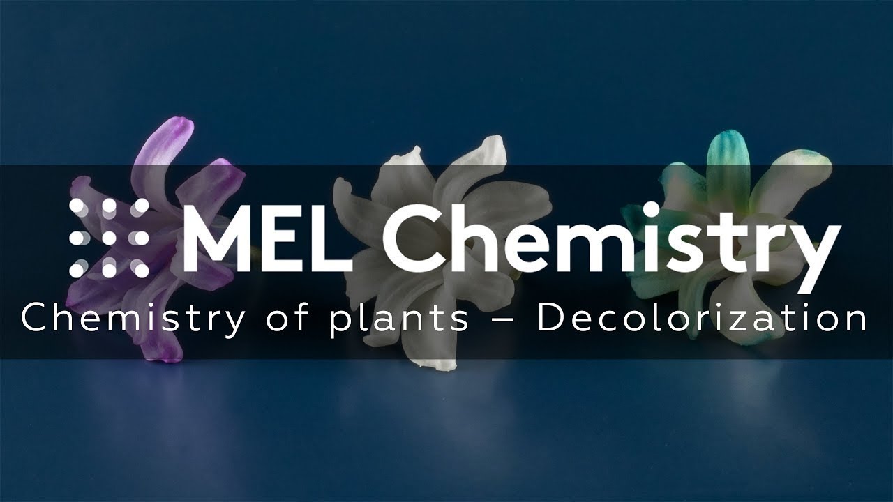 “Decolorization“ from the “Chemistry of plants“ set - YouTube