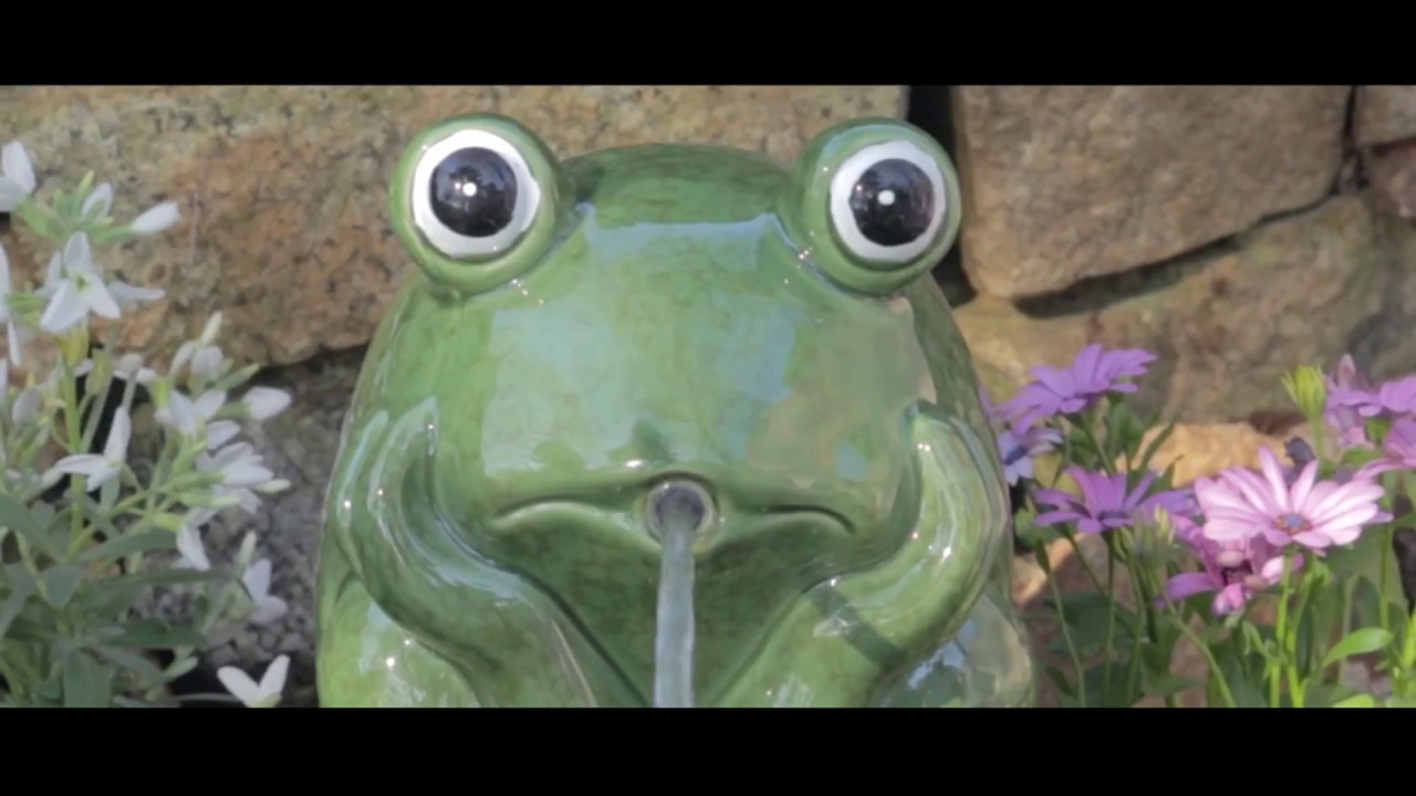 Frog Century 21 Commercial - YouTube
