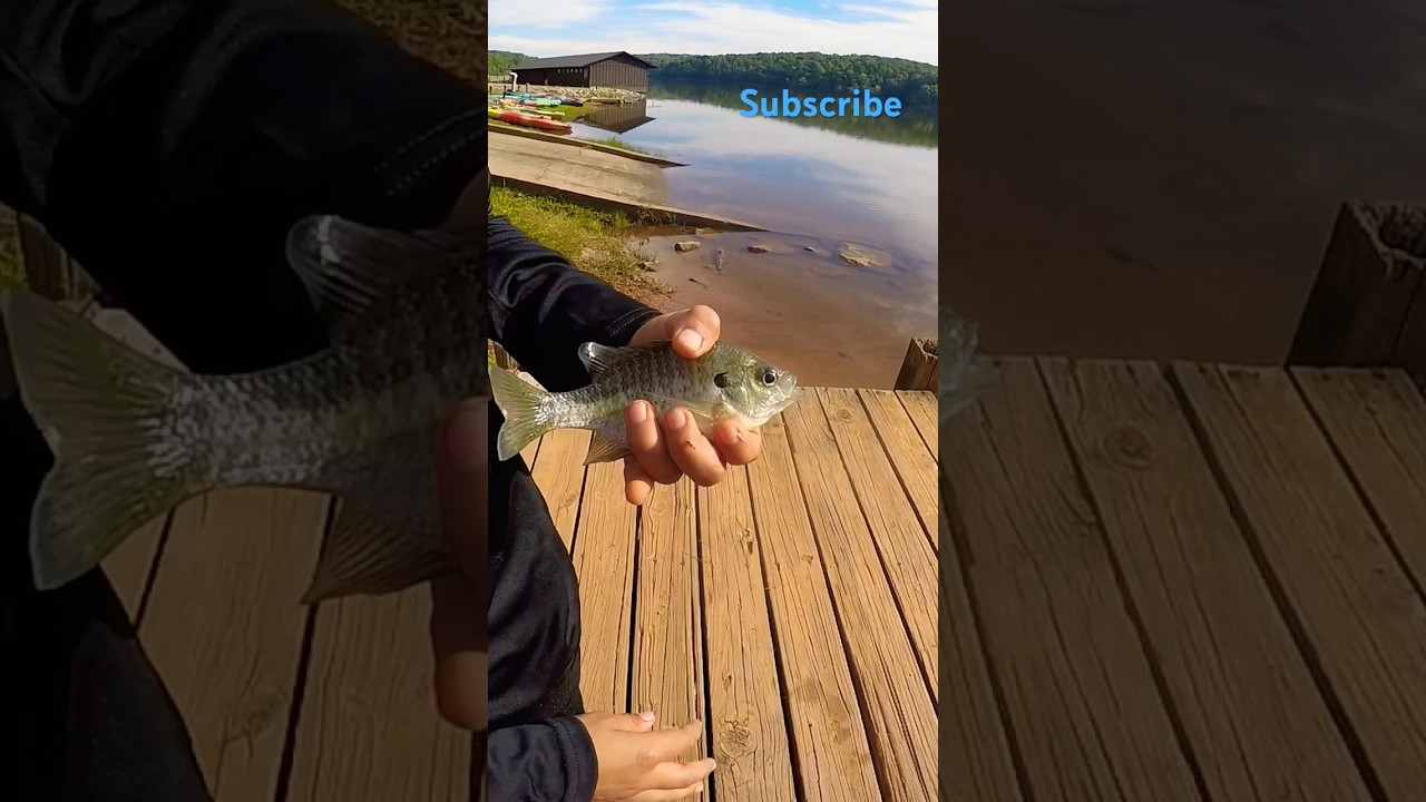Big Slabs #fishing - YouTube