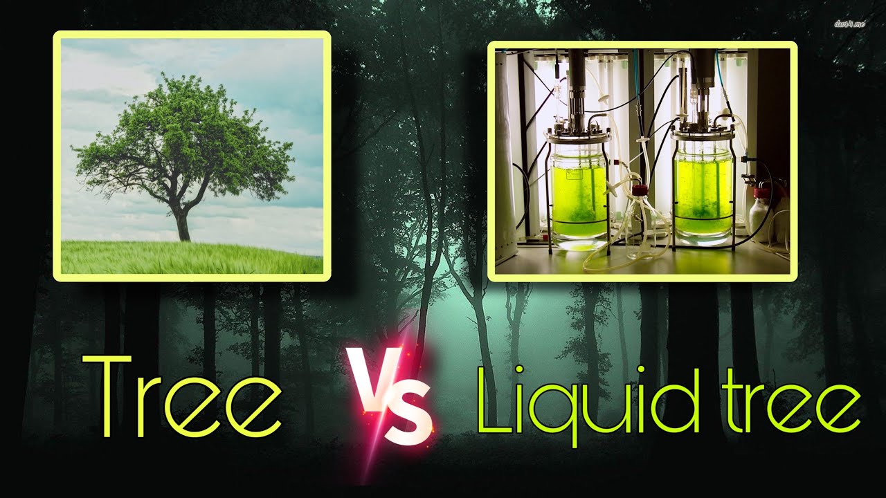 Tree vs. Liquid Tree: A Sustainable Future? - YouTube