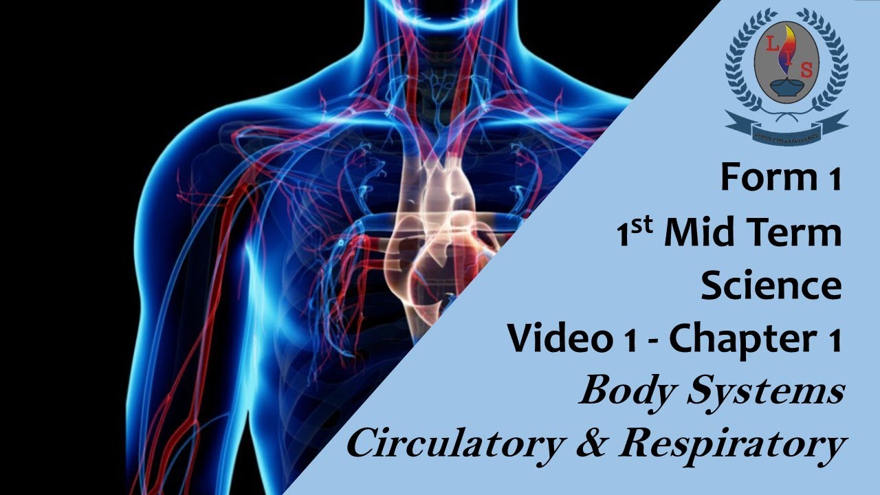 Form 1 - 1st Mid Term - Science - Video 1 - Chapter 1 - Body Systems ...