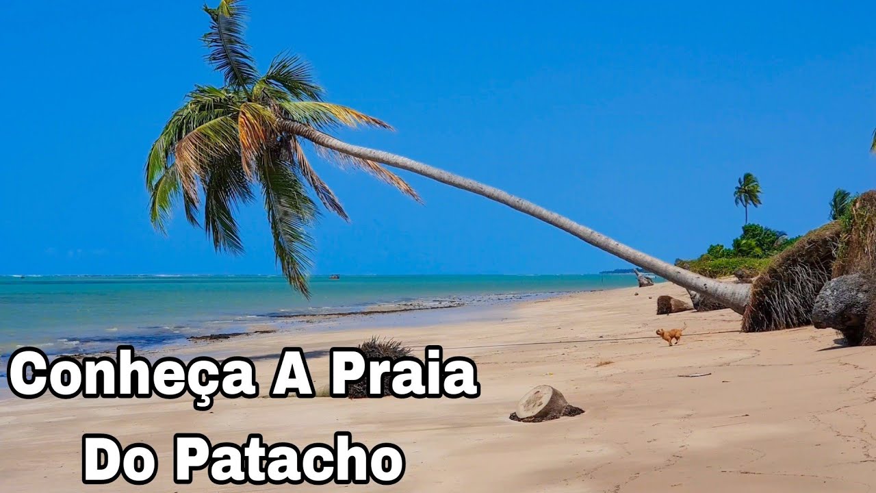 Praia Do Patacho Em Porto de Pedras Alagoas ( Rota Ecológica dos ...