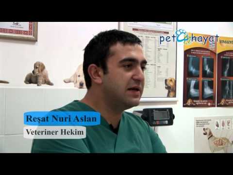 Zehirlenmelerde İlk Yardım