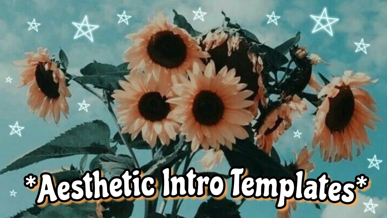 AESTHETIC TUMBLR INTRO TEMPLATES *No text* + Effects - YouTube
