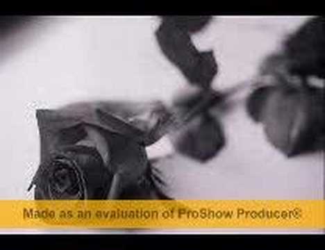 mesut-tu guli/kürtçe