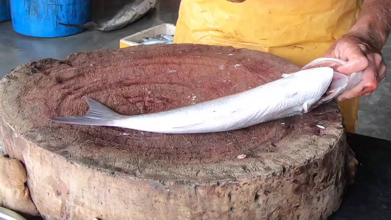 The Fishmonger's Handbook: A Complete Guide to Cutting and Filleting ...