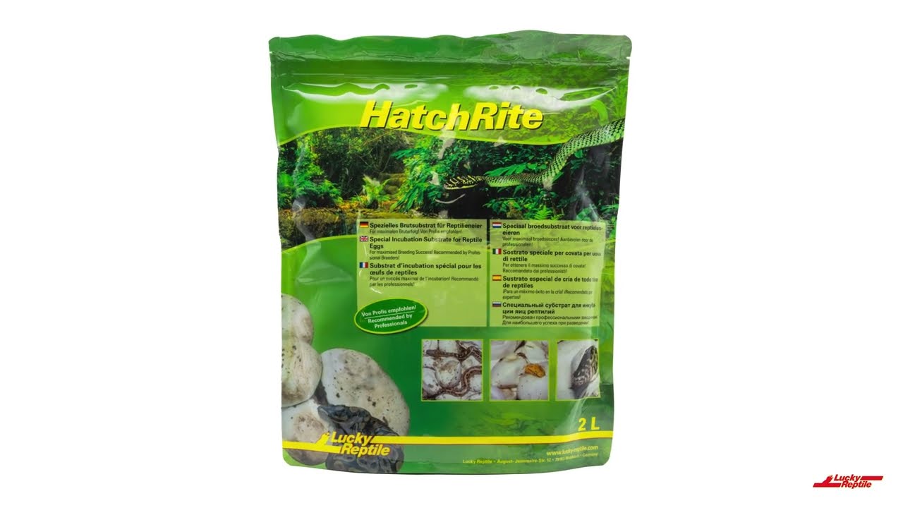 How to use Lucky Reptile Hatchrite - YouTube