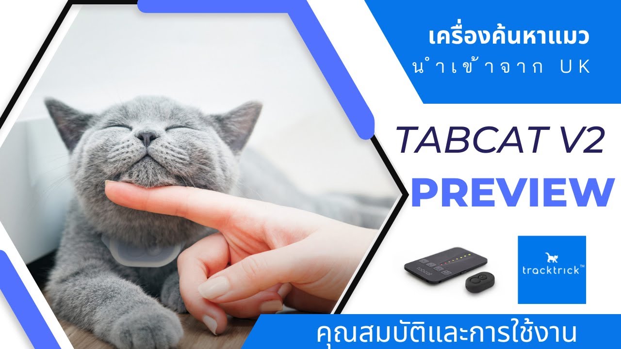 คลิปแนะนำ TABCAT ซับไทย - เครื่องค้นหาแมว นำเข้าจาก UK - YouTube