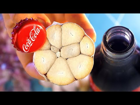 COLA UND KNOBLAUCH, 5 LIFEHACKS VON SLIVKI SHOW!