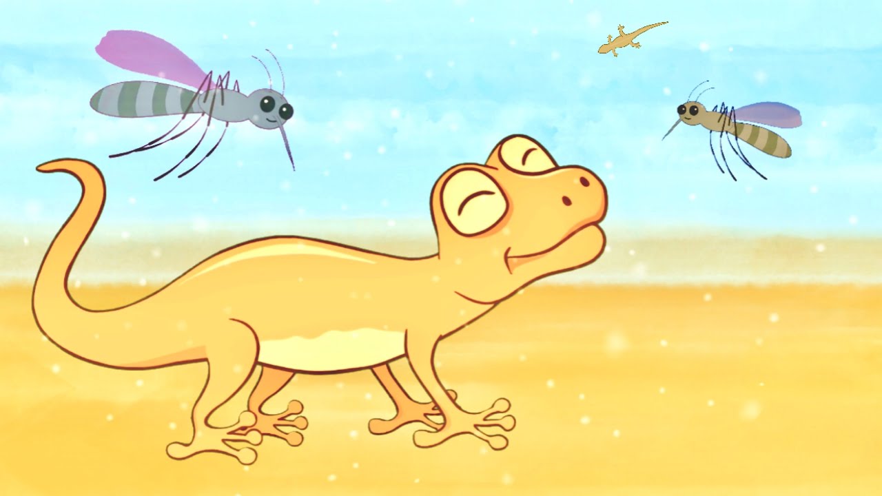 Cicak cicak di Dinding | Cicak Orange | Lagu Anak Indonesia - YouTube