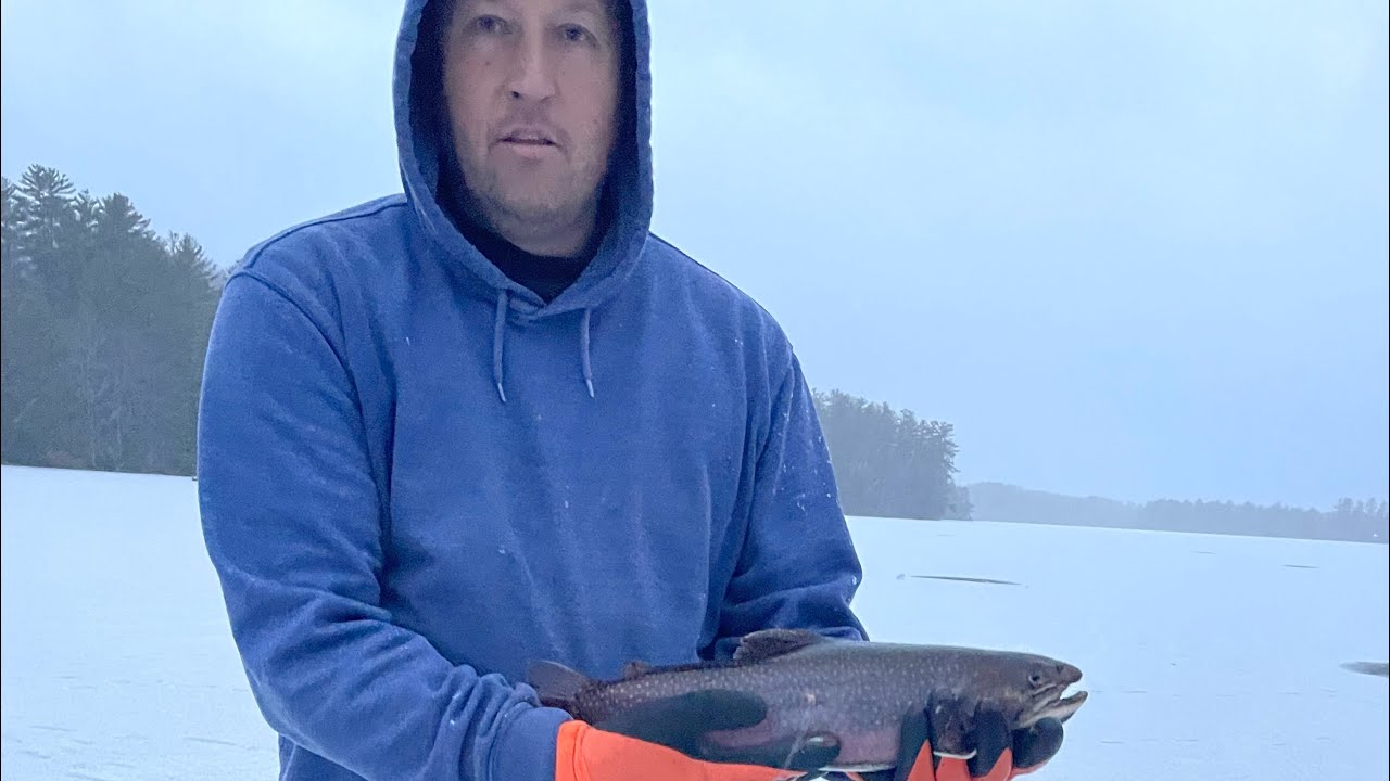 Early season ice fishing 18 inch brook trout - YouTube