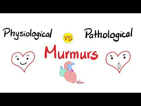 Physiological Murmurs vs. Pathological Murmurs -  Comparisons