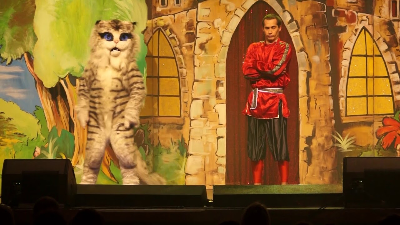 le chat botte - YouTube