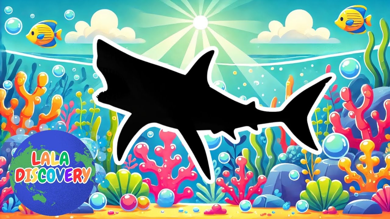 Guess the shadow of the sea animals | Shadow game | Learn animals video ...