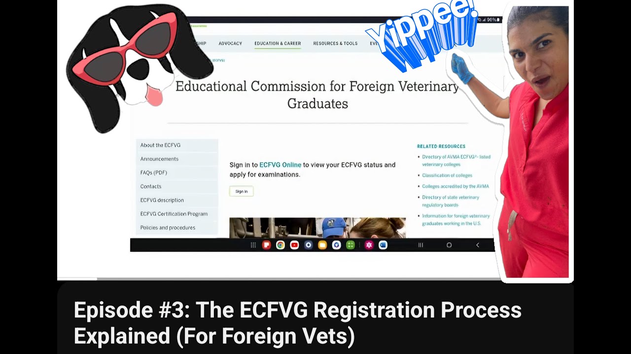 Episode #3: The ECFVG Registration Process Explained (For Foreign Vets ...
