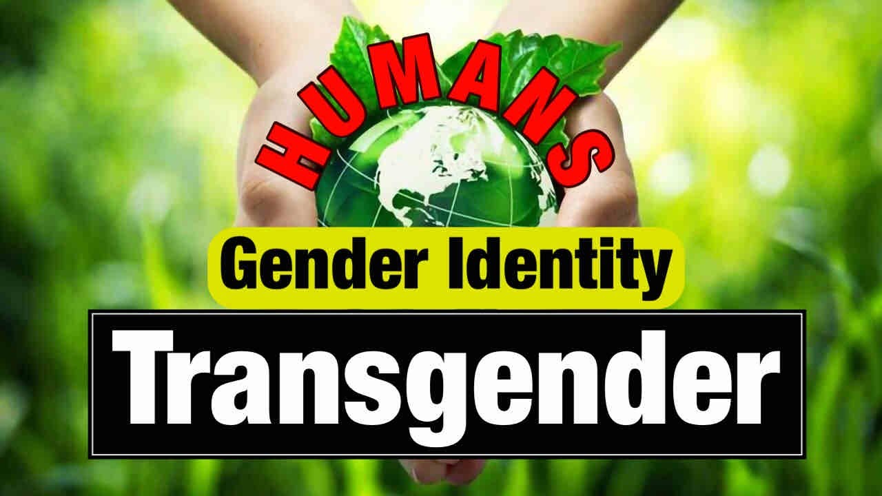 Gender Identity TRANSGENDER "Embracing Authenticity: Understanding the ...
