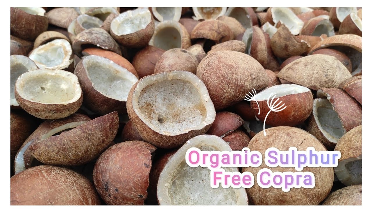 Sulphur Free Organic Sundried Copra Available / Directly procured from ...