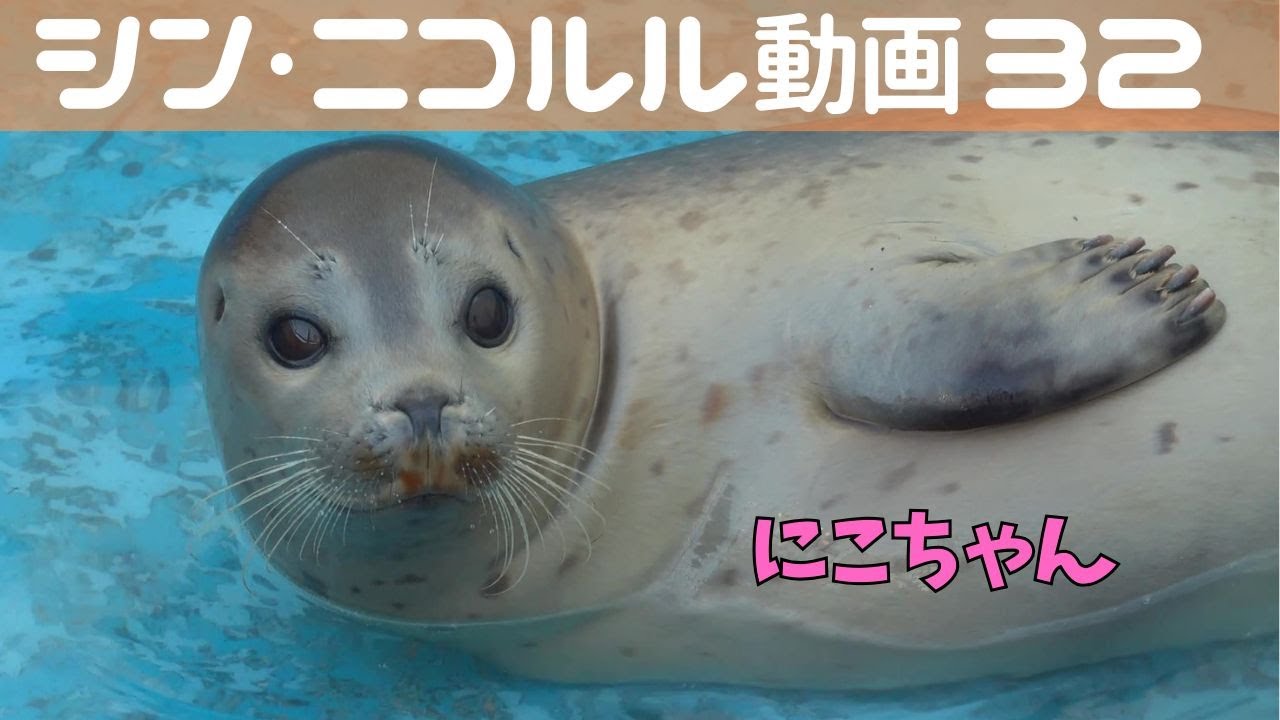 シン・ニコルル動画32 / Shin Niko-Ruru Video 32 - YouTube