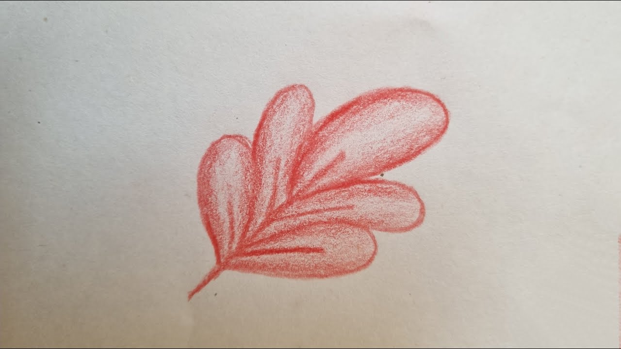 Easy red leaf drawing | Drawing an autumn leaf for beginners - YouTube