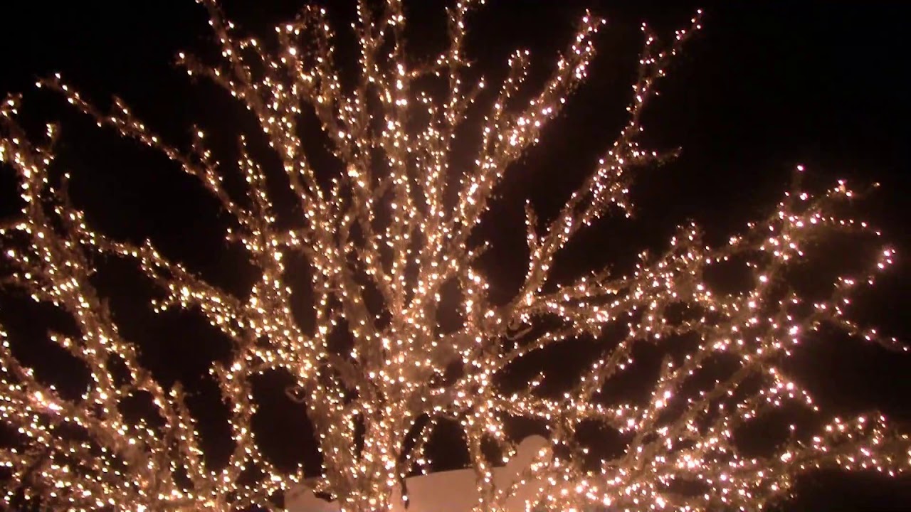 Maple Ridge Winter Fest 2019 - YouTube